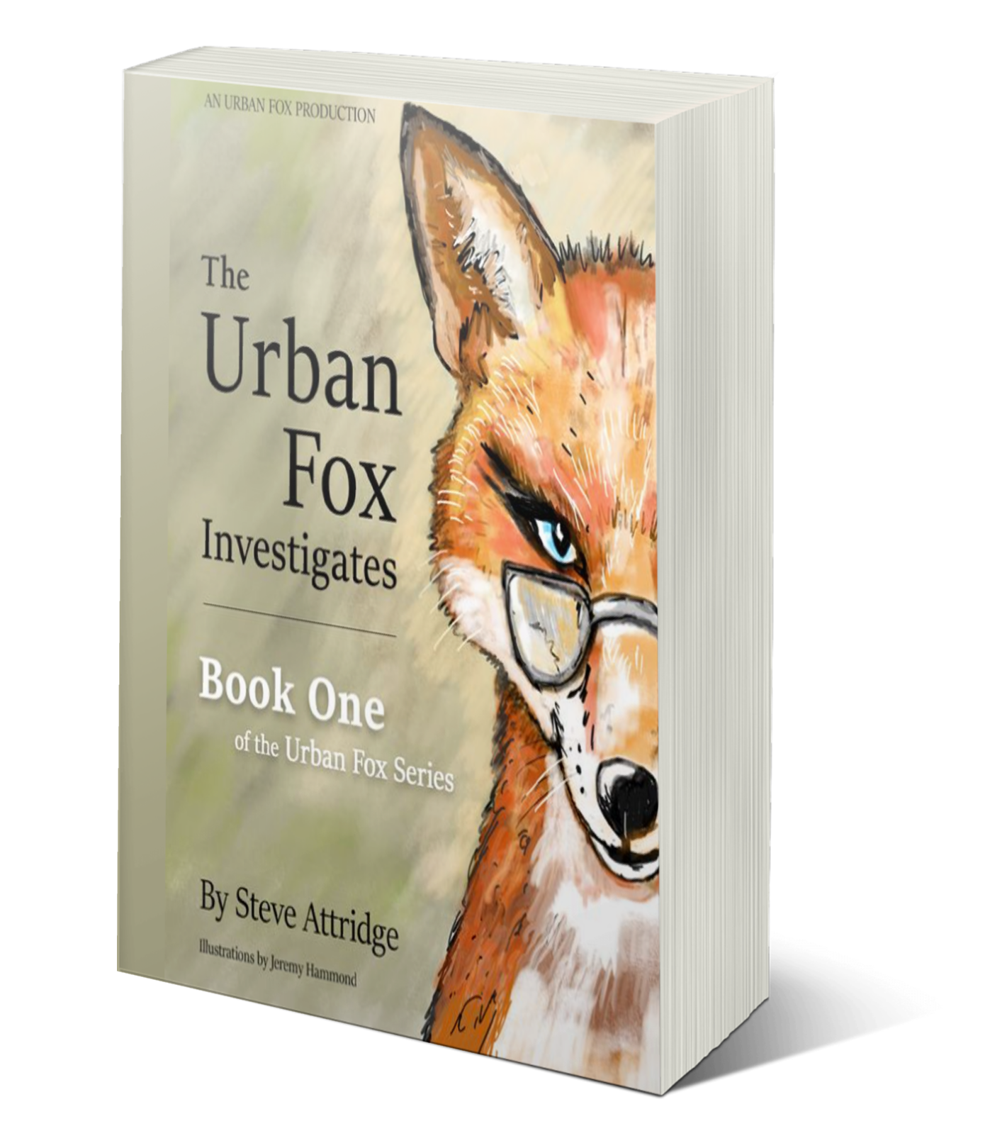 Author in the Spotlight - Steve Attridge - The Book Writers Resource